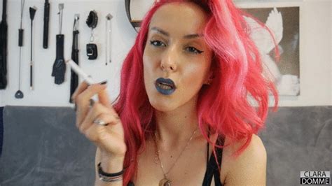 Maggots Dont Get Attention Exquisite Mistresses Clips4sale