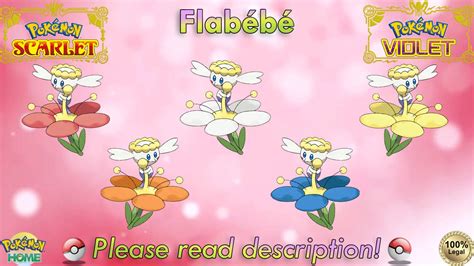 Floette Forms