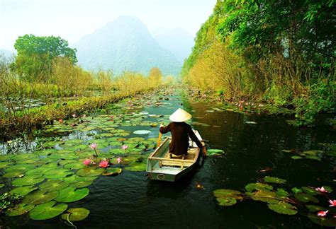 Hình ảnh Cảnh đẹp Việt Nam Về Biển đồng Lúa đường Phố