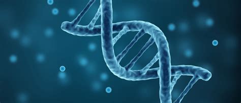 Observations From A Decade Of Oligonucleotide Bioanalysis By Lc Ms Bioanalysis Zone