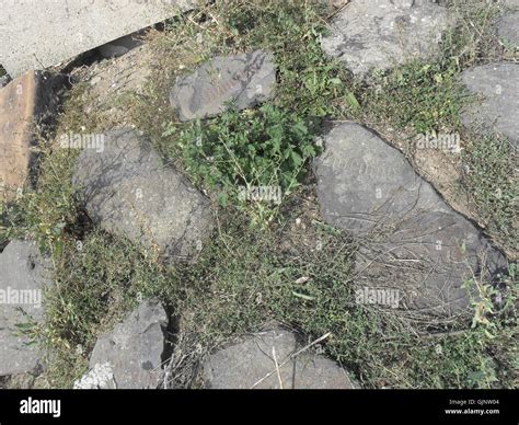 A Monument In Teplice Commemorating The Abolition Of Serfdom