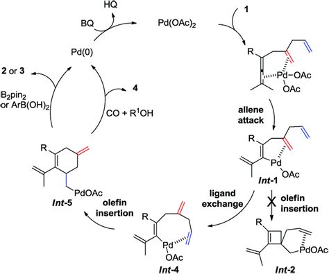 Highly Selective Olefin Assisted Palladium Catalyzed Oxidative