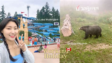 🇨🇦밴쿠버에도 워터파크 있어요🫧ㅣ그라우스마운틴에서 🐻캐나다 그래즐리 보기 👀ㅣ칠리왁and컬투스레이크ㅣ 워홀러의 밴쿠버 즐기는법2 Youtube