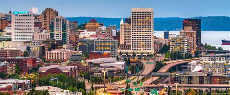 Best Rex Spawn Locations The Island Rark