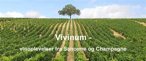 Champagne Vivinum