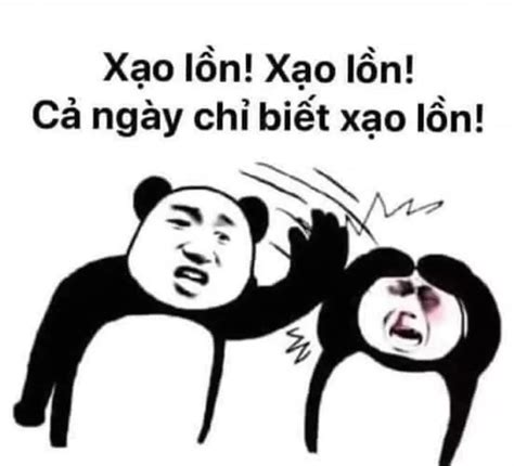 Meme Gấu Trúc Tổng Hợp 160 Meme Và ảnh Chế Mới Nhất Ehe
