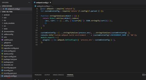 Process Is Not Defined Error With Angular 12 Bug · Issue 284