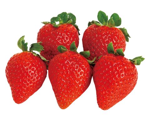 さちのか 三好アグリテック株式会社