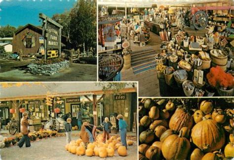 Suttons Farm Market Country Store Glens Falls Ny New York Postcard Ebay