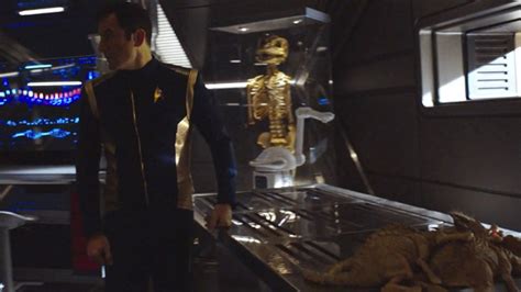 A Short History Of The Gorn In The Star Trek Universe