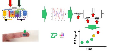 Digitization Of Vanadium Redox Flow Batteries Vrfb Zimmer And Peacock As