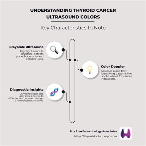 The Spectrum Of Thyroid Cancer A Guide To Ultrasound Colors Bay Area
