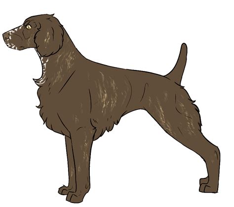 Tchotchke Bidranian By Olivionary On Deviantart