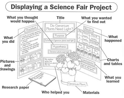 How To Prepare A Science Fair Project 9 Simple Steps Keep In Mind