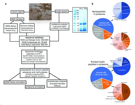 Overview Of The Project A A Flow Chart Illustrating The Sequence Download Scientific