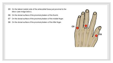 International Standards For Neurological Classification Of Spinal Cord Pptx