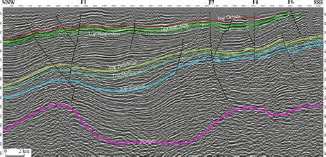 Nnw Sse Interpreted Seismic Line Presenting The Tectonostratigraphic