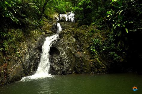 Hiking And Waterfalls Tobago