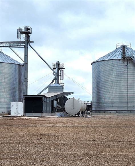 Narrain Grain Alvan Blanch Australia