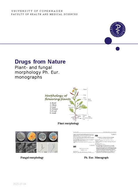 Plant And Fungal Morphology Class Session 3 And 4 Solutions Studocu