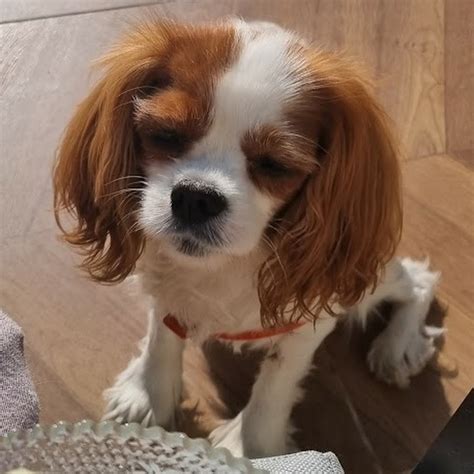 Q0akpjkrjrudqwlaz4umxslkepi6xqad1g3u9yoo0zvpbaeakjqatit3pxoyoy Czsooqiiw3gs900 C K C0x00ffffff