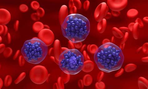 Lymphoma Drug Discovery World Ddw