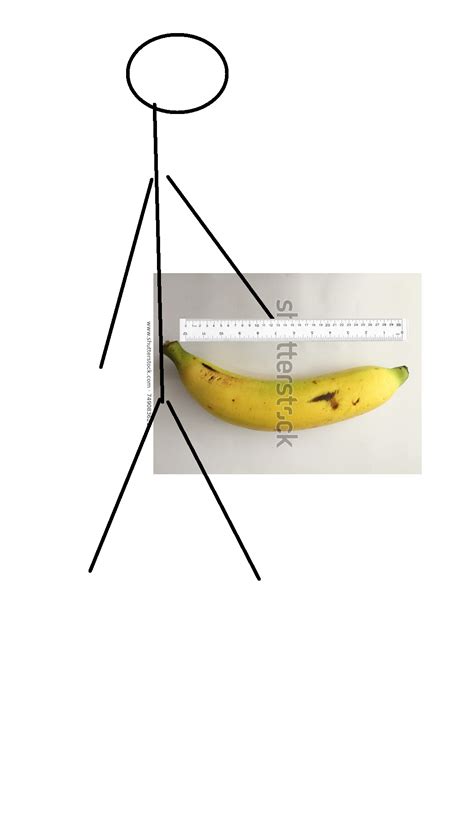 How Big Is 6 Inch Girth Bigdickproblems