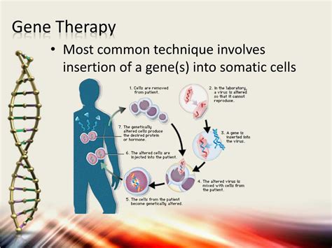 Gene Therapy Techniques
