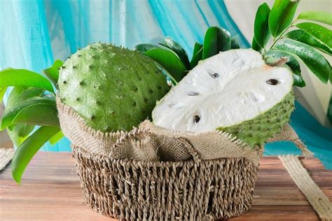 40 Facts About Soursop