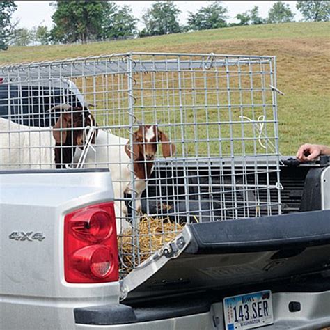 Goat Box For Back Of Truck At James Ahlstrom Blog