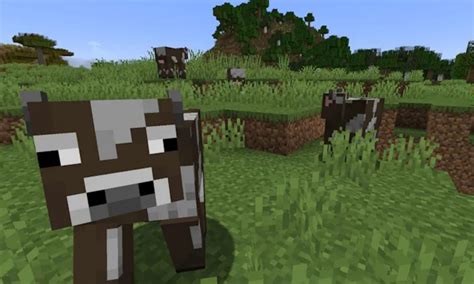 All Minecraft Cow Variants And Where To Find Them Beebom