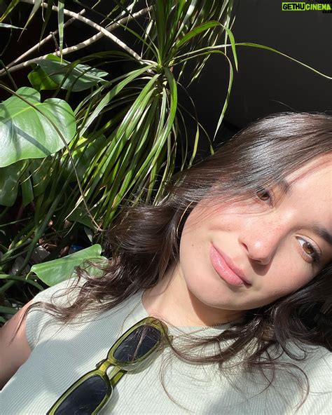 Olivia Steele Falconer Wiki Biography Age Gallery Spouse And More