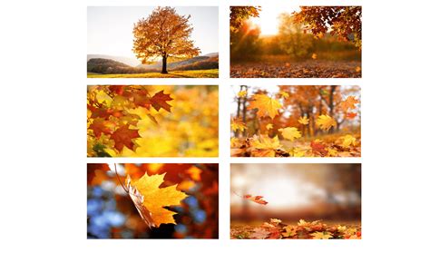 Git Assignment 13 On Behance