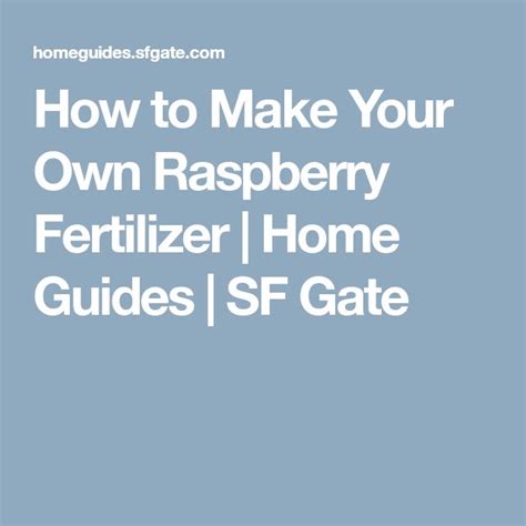 how to make your own raspberry fertilizer raspberry make it yourself