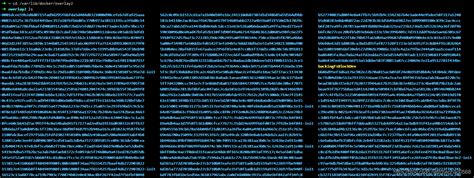 解决服务器空间满 var lib docker overlay2占用很大，千万慎用 docker system prune a清理