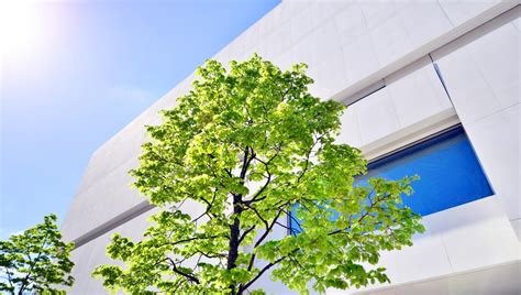 Zero Emission Building The 2025 Eu Updates And Their Impact On Italy