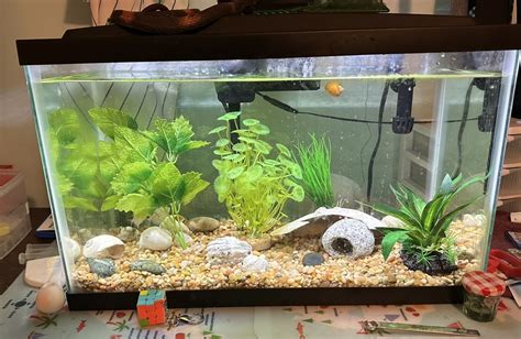 Matthew Dicks I Received A Text Message From Elysha