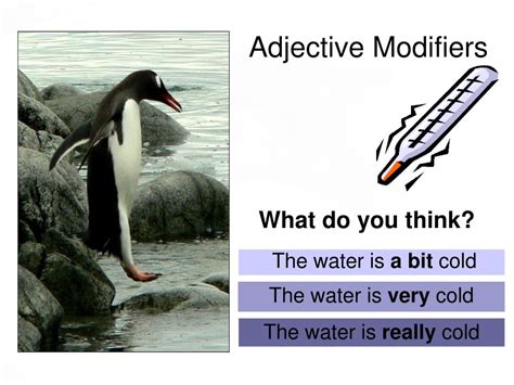 Ppt Adjective Modifiers Powerpoint Presentation Free Download Id