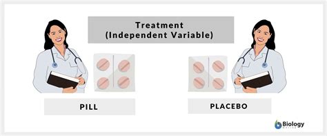 Independent Variable Definition And Examples Biology Online Dictionary