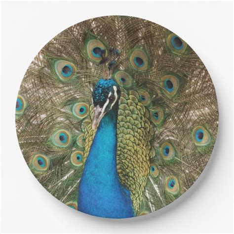 Peacock Plates Zazzle