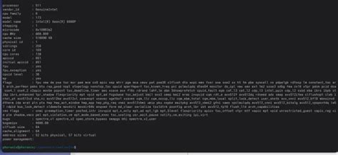 The Massive Ai Performance Benefit With Amx On Intel Xeon 6 Granite Rapids Phoronix