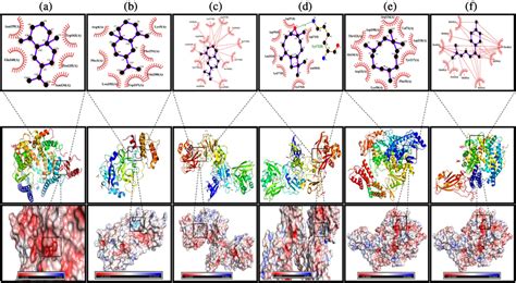 Molecular Docking And Apbs Adaptive Poisson Boltzmann Solver