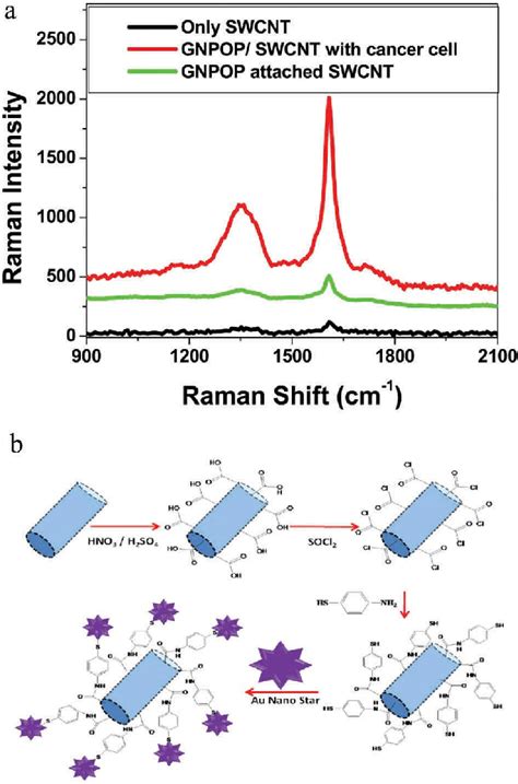 A Plot Showing Sers B Schematic Representation Shows The Synthesis