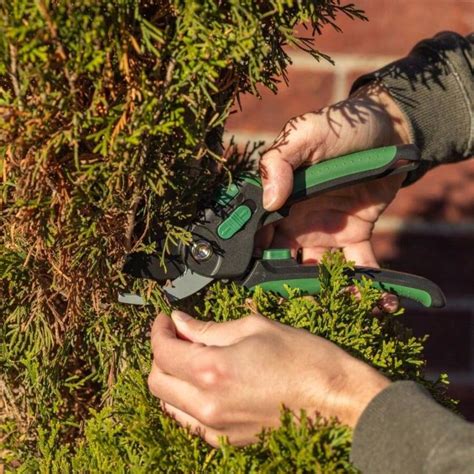 Expert Gardener 34 Inch Cutting Bypass Pruner Shein Usa