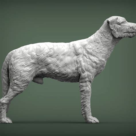 3d Printable Irish Wolfhound By Alexander3dart