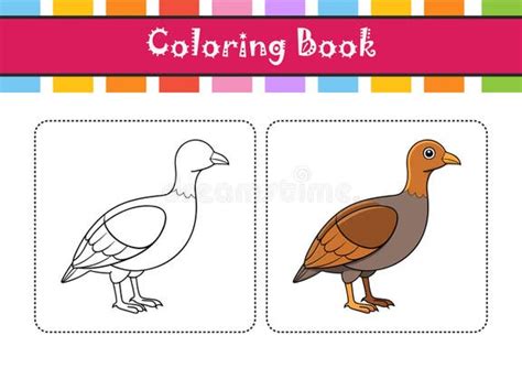 Encantadora Ilustración Andina Tinamou Foto De Archivo Imagen De Salir Encantador 370202968