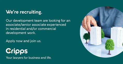 Elaine Holland Posted On Linkedin