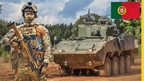 Review Of All Portuguese Armed Forces Equipment Quantity Of All