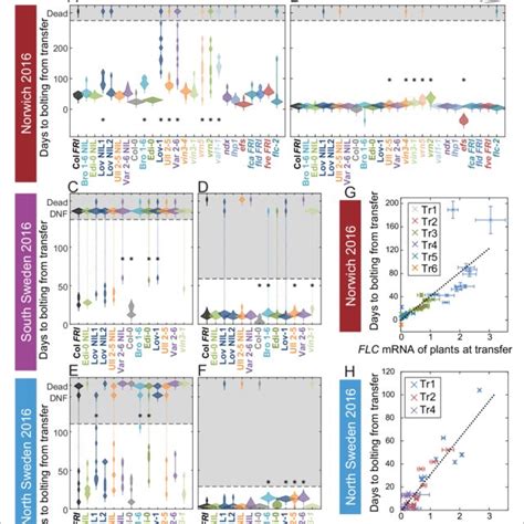 Vernalization Requirement For Flc Downregulation Is Saturated In