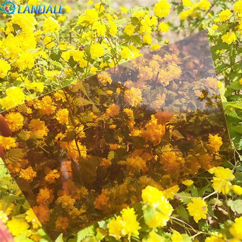 Polycarbonate Board Pc Solid Board Factory Mass Production Polycarbonate Sheet And